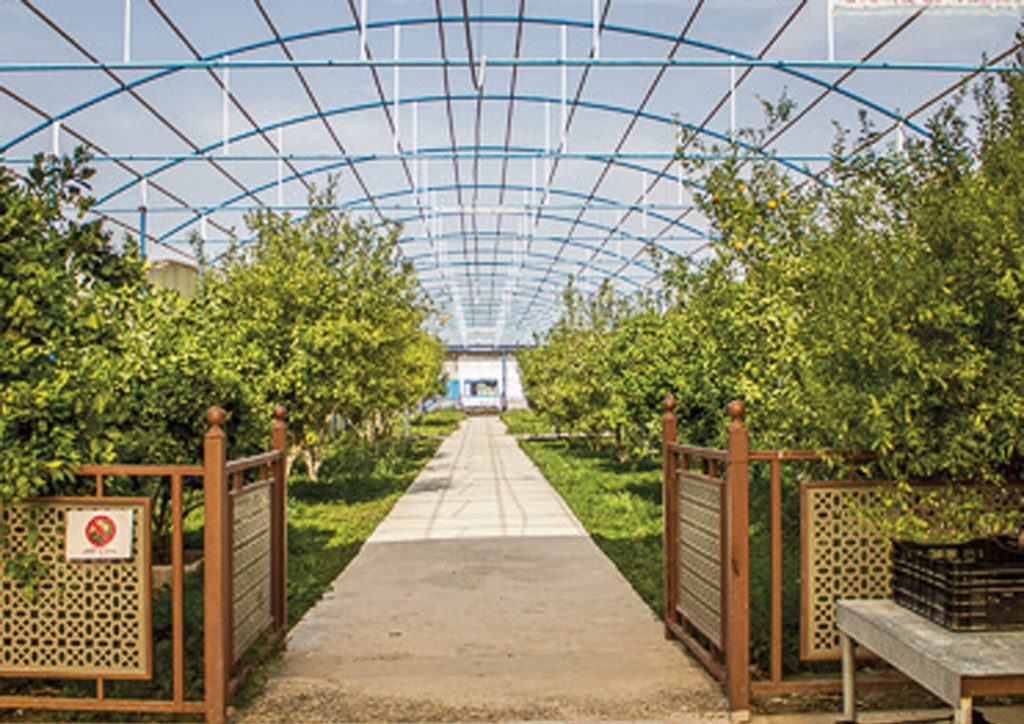 IRRIGATION NETWORK AND LINES AL ABDALLY FARMS – HSS Group